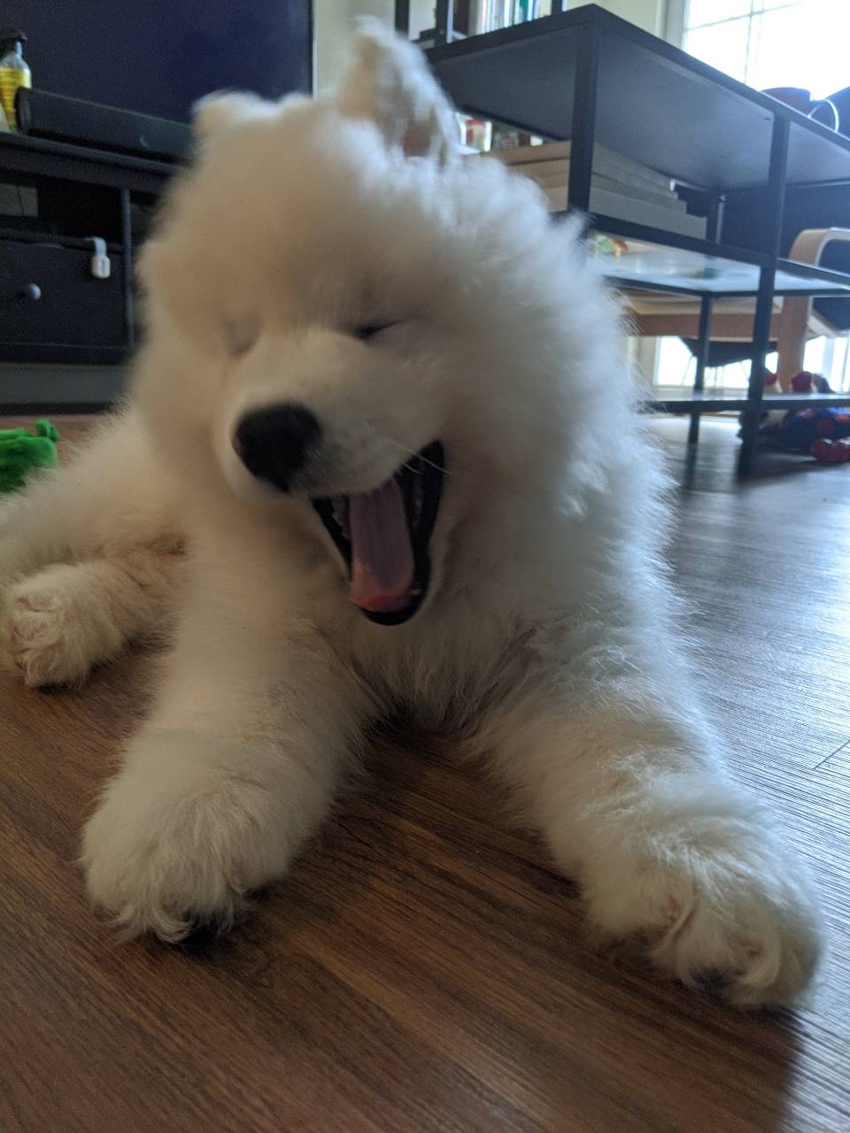 What is the hierarchy in Deloitte India? How many years in each level ...