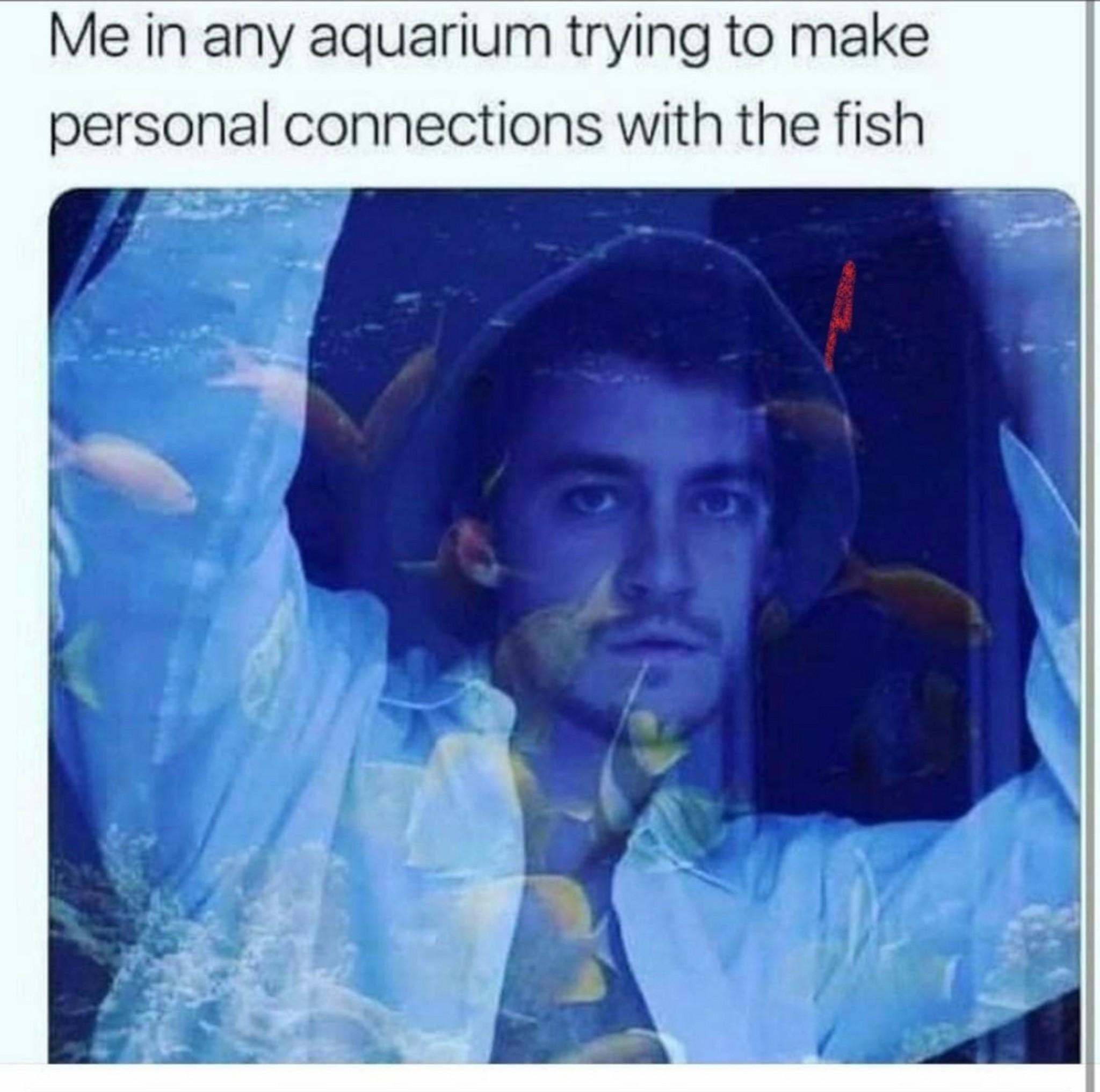 People get caught up in some serious body dysmorph... | Fishbowl