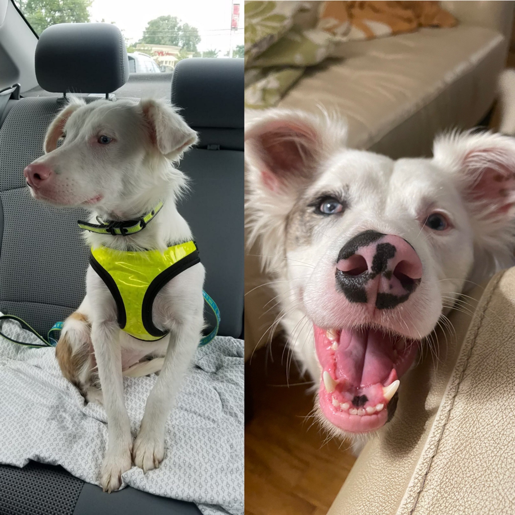 Naehas one of my biggest mistake | Fishbowl