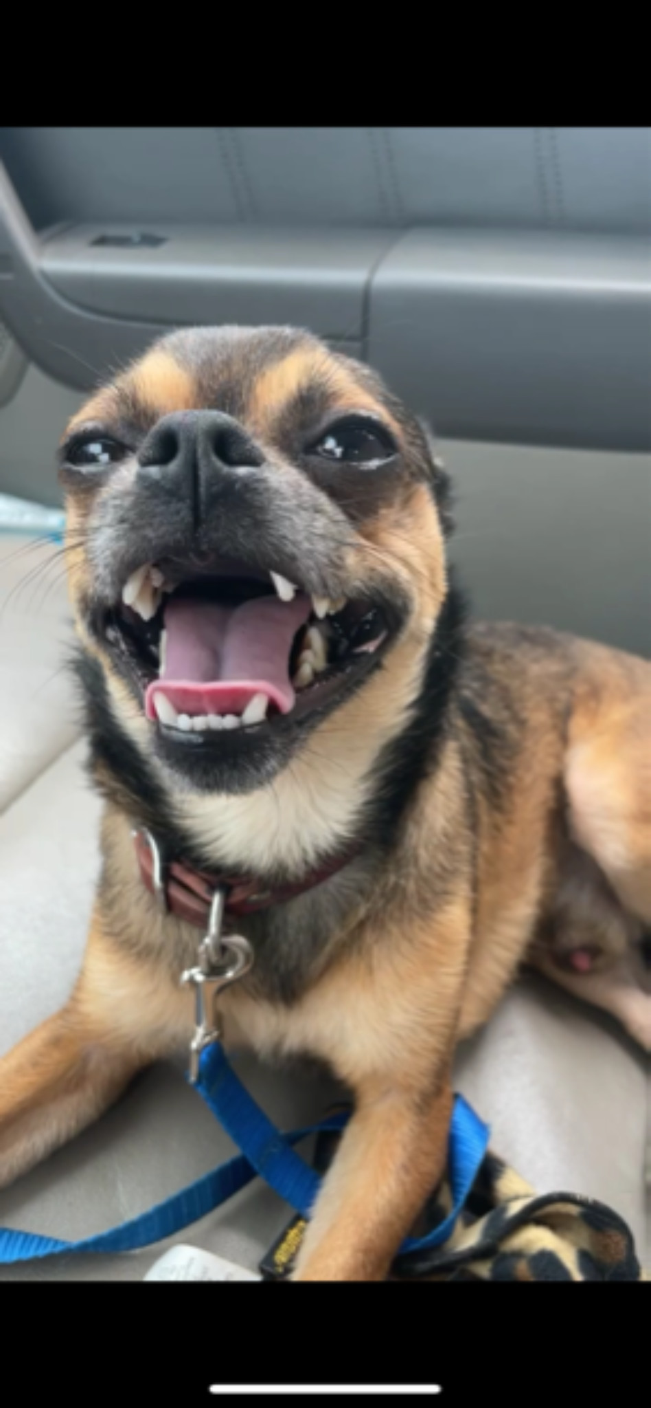 As a seasoned advisor with a 23-year track record in the Indian Coast ...