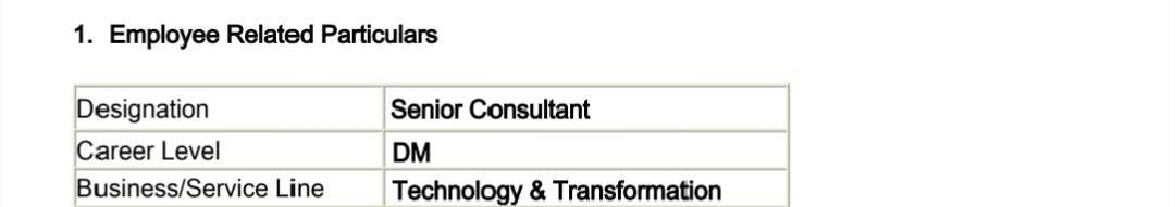 what does career level DM means here in Deloitte Offer letter?Deloitte ...
