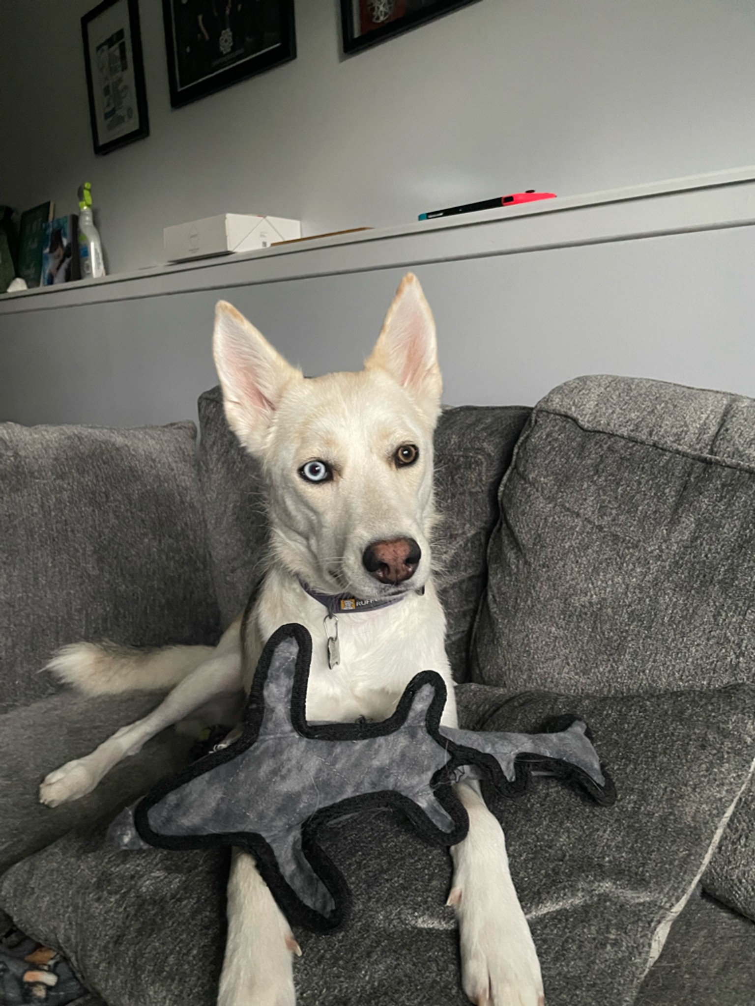 My boss was extremely rude during a meeting with internal client this ...