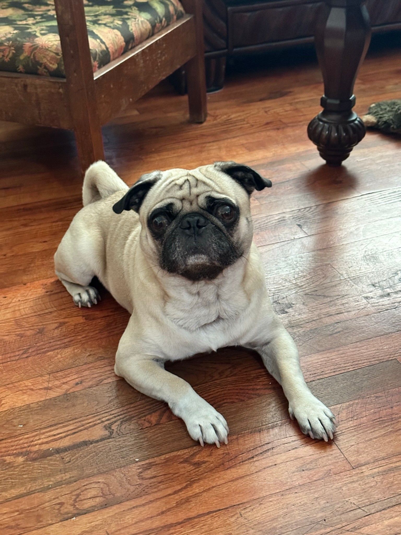 I’ve been struggling to land a interview / get good job. I have 3 years ...