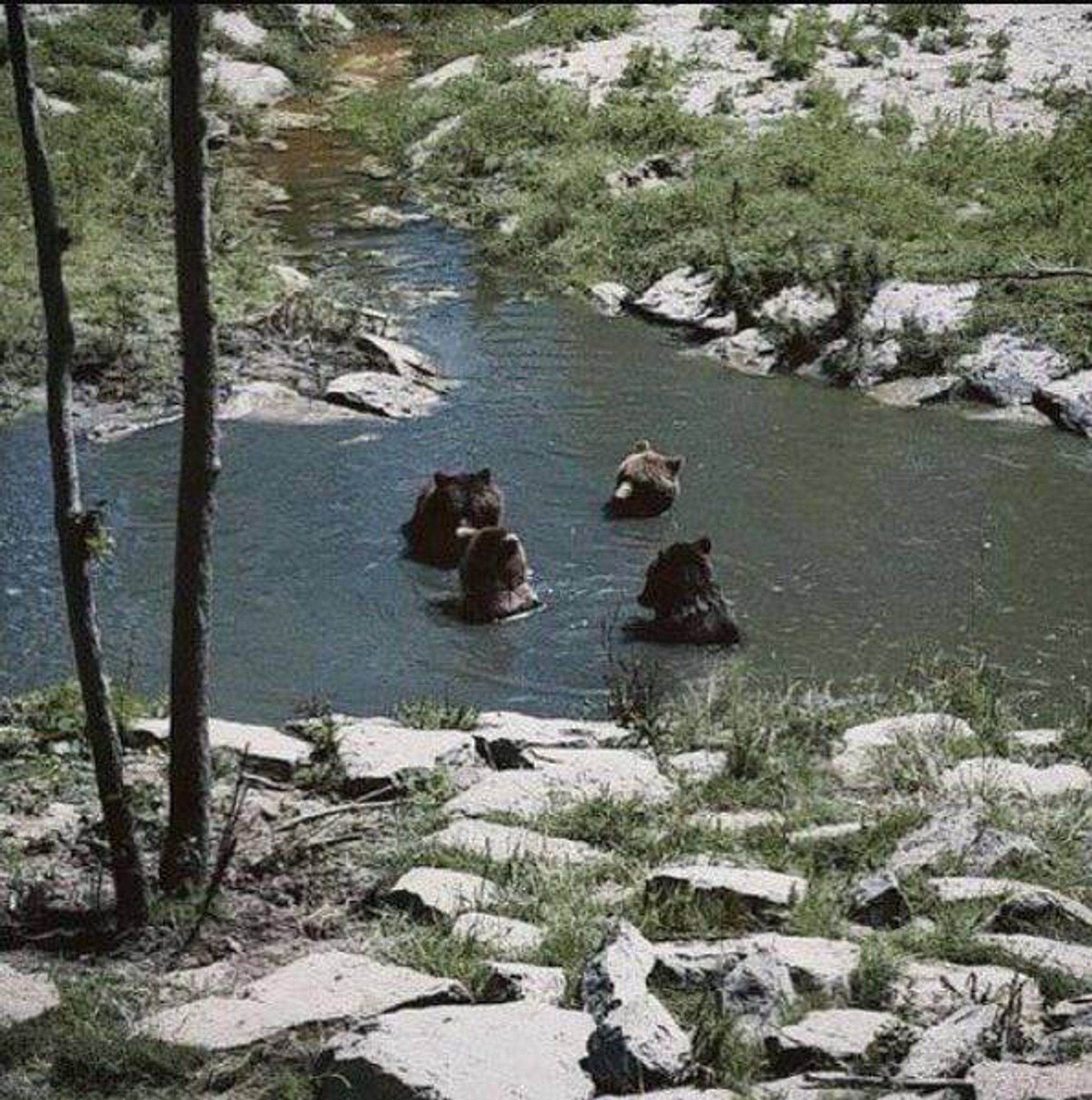 What are they discussing? | Fishbowl