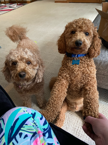 What is Accenture's shuttle service | Glassdoor Forum