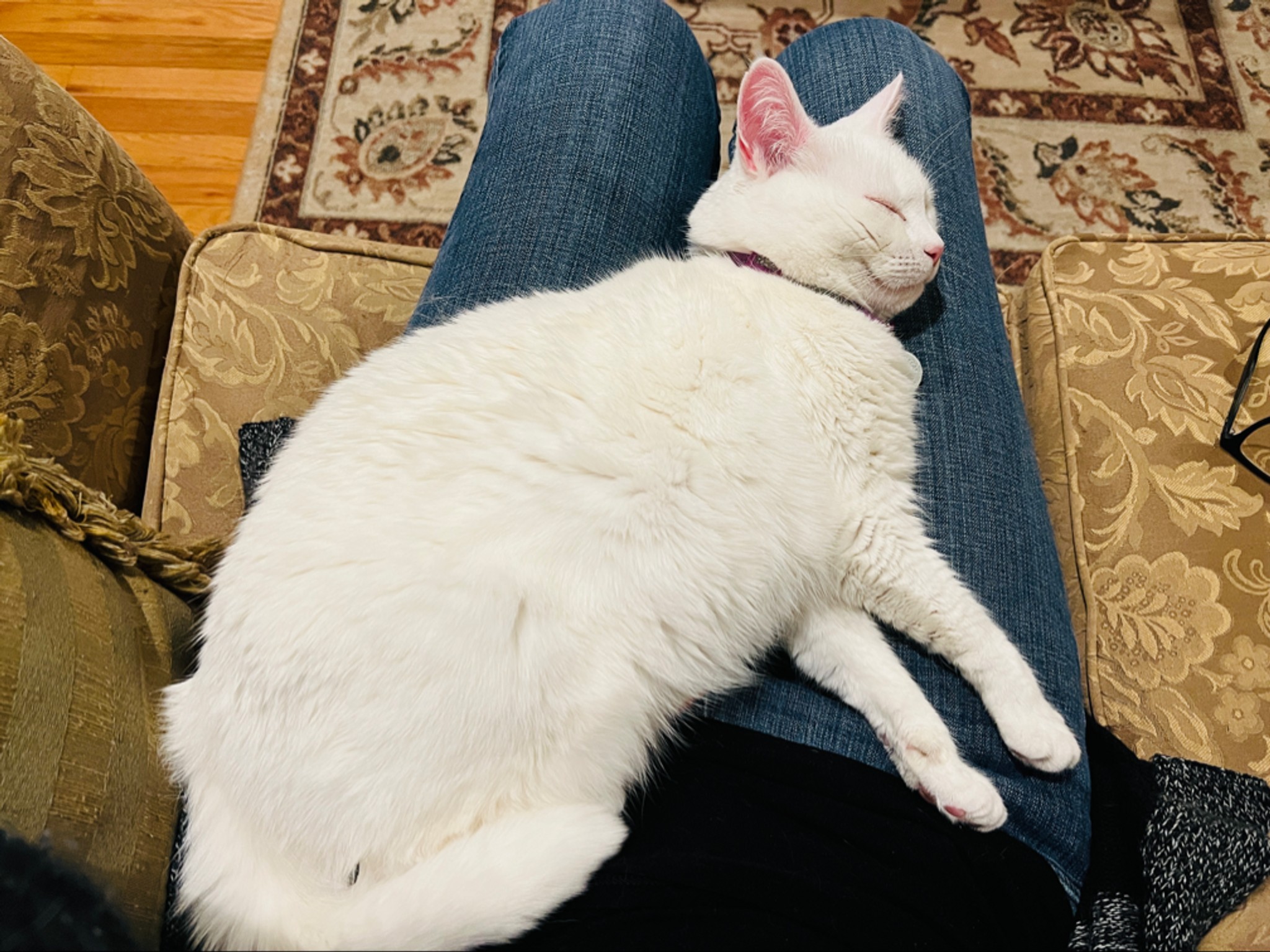 What are everyone's most helpful tools? My favorite have been: Trello ...