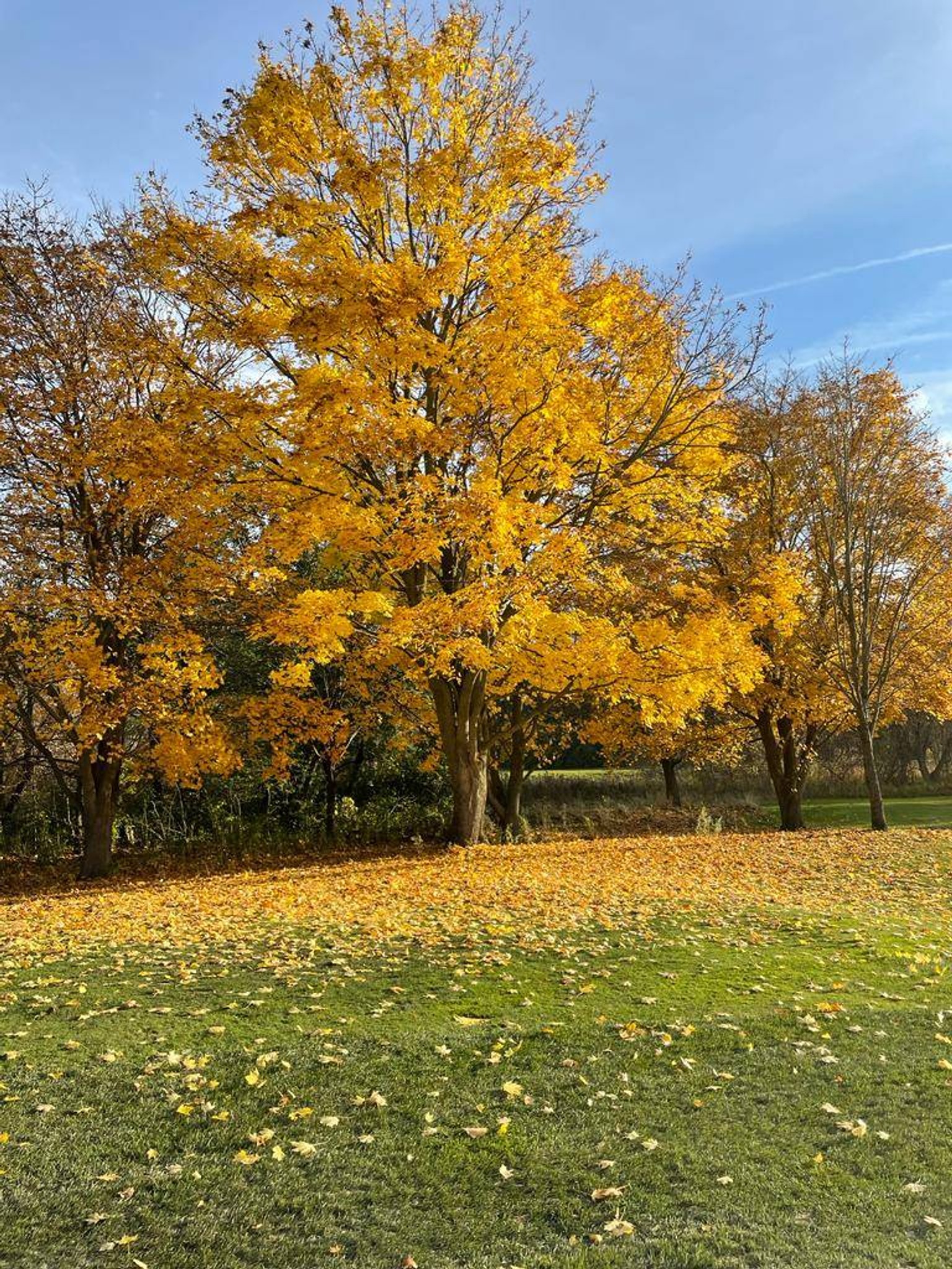 Anyone joined HCL this year how is the joining kit... | Fishbowl