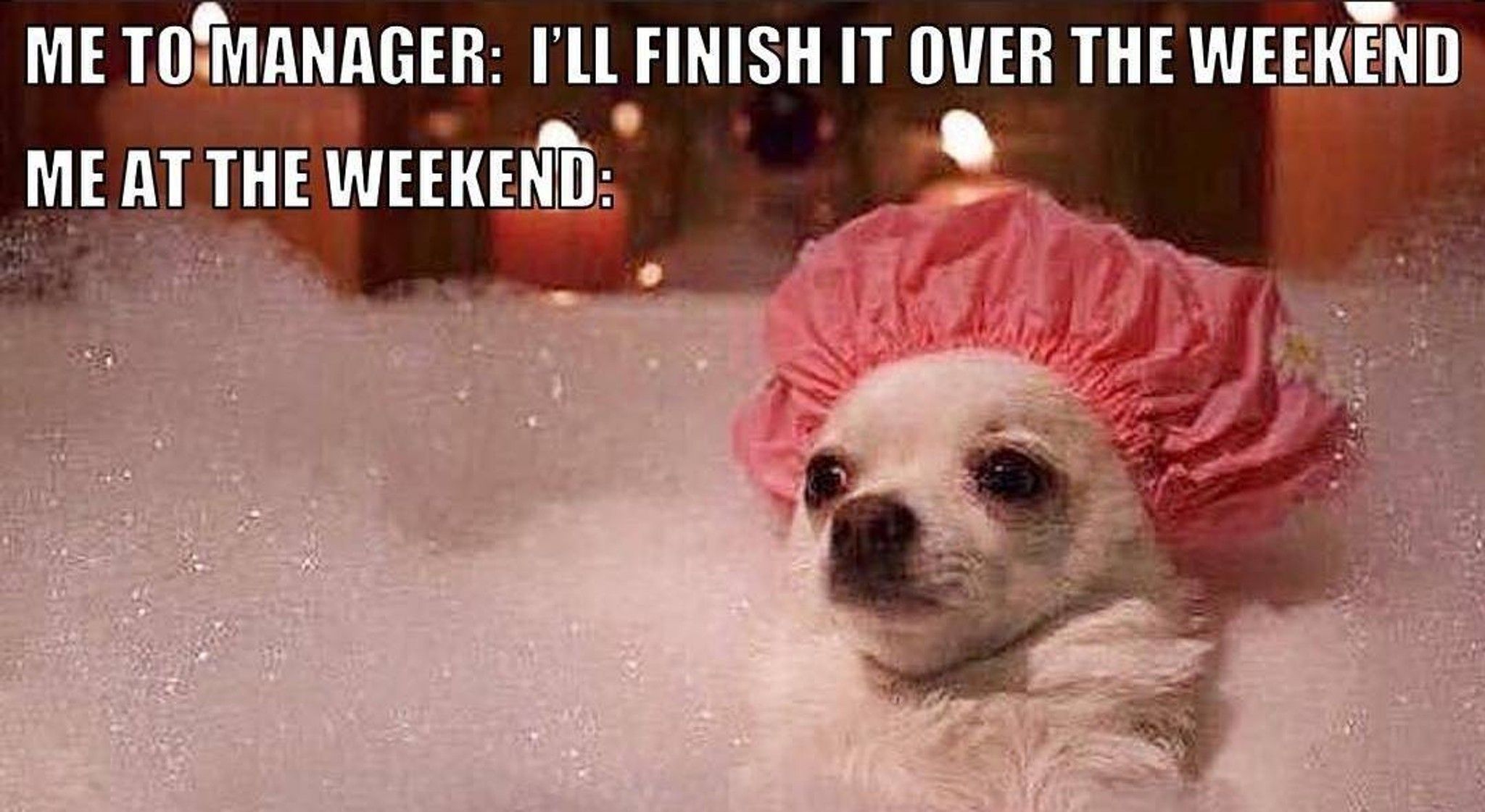 Happy Friday everyone! Time to move everything to ... | Fishbowl