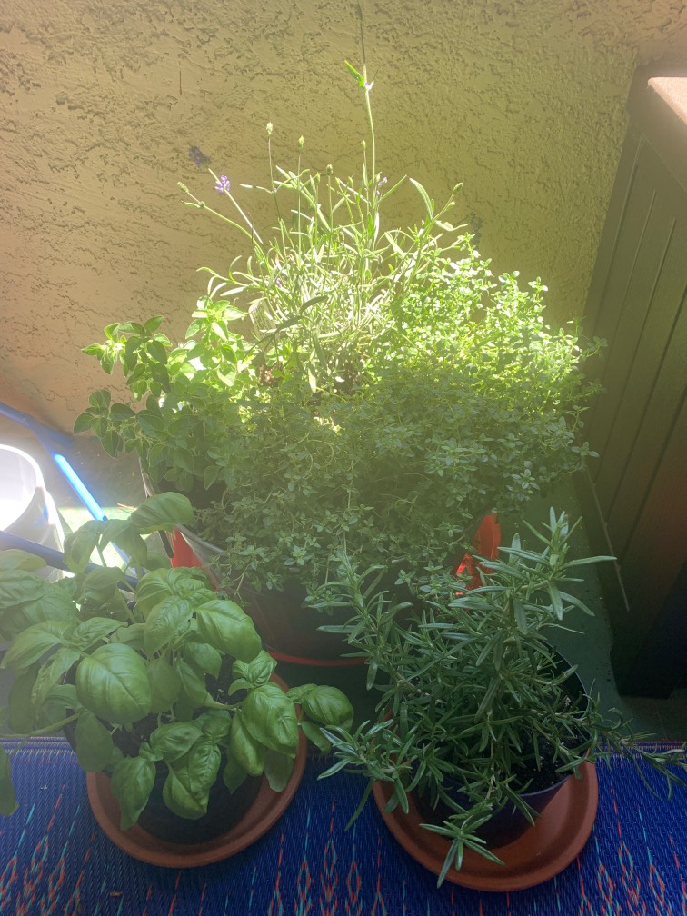 I have a quarter life crisis and want to learn drums. Anyone have ...