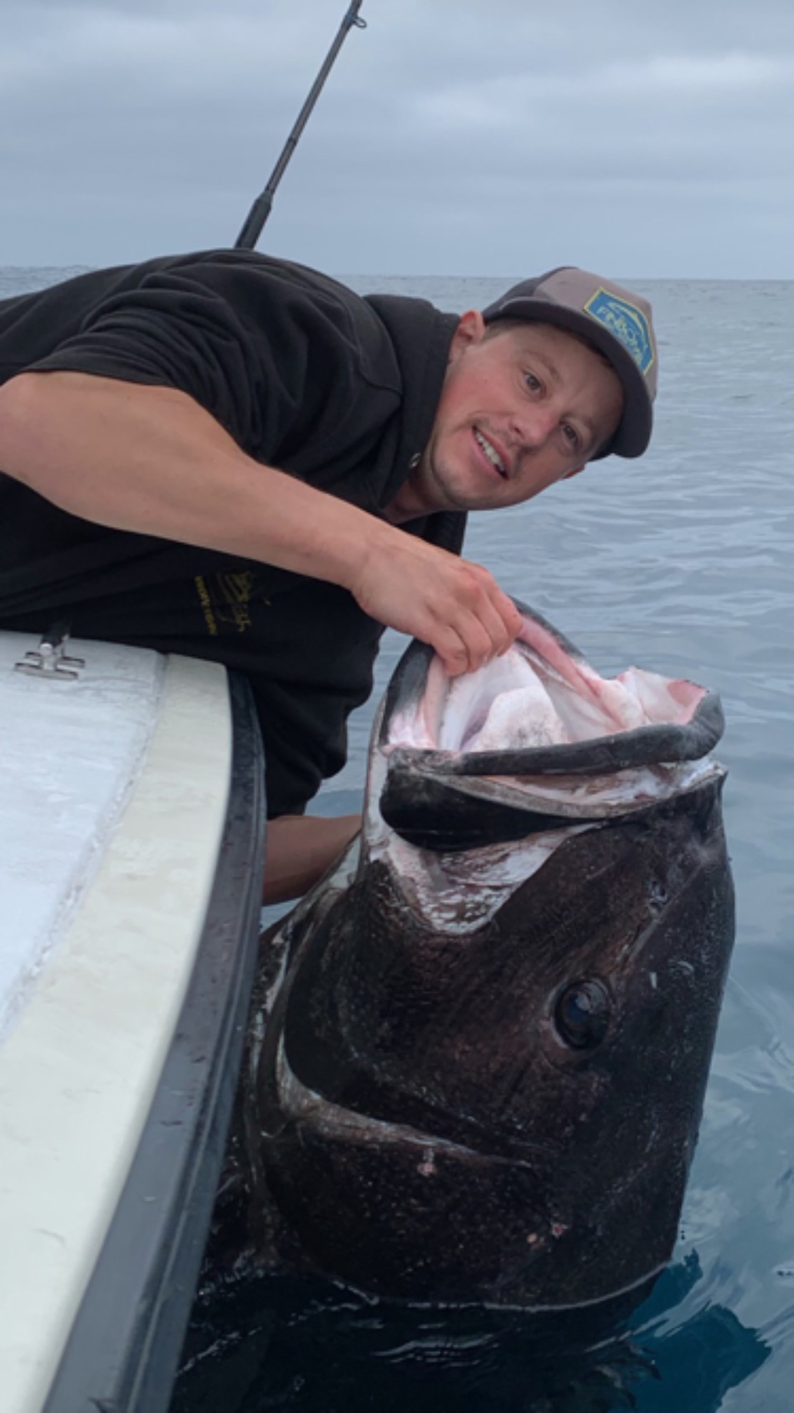 What is the difference between hcl software and hc... | Fishbowl