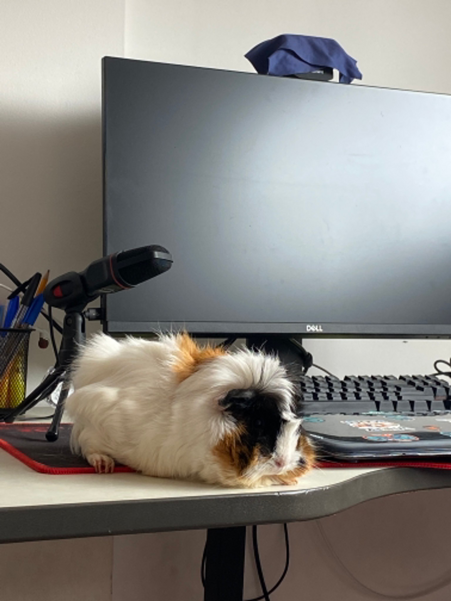 How long does Accenture background check take? Any way I can check the ...