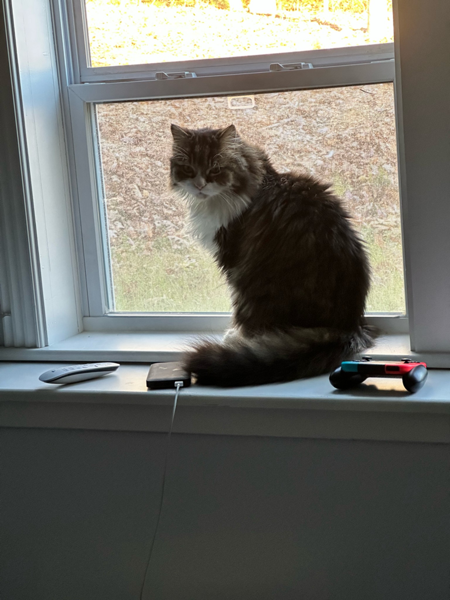 Can someone pls share designation hierarchy for mastercard | Glassdoor ...