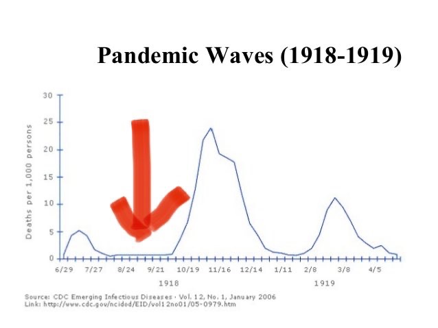 After the first wave of the Spanish Flu - everythi... | Fishbowl