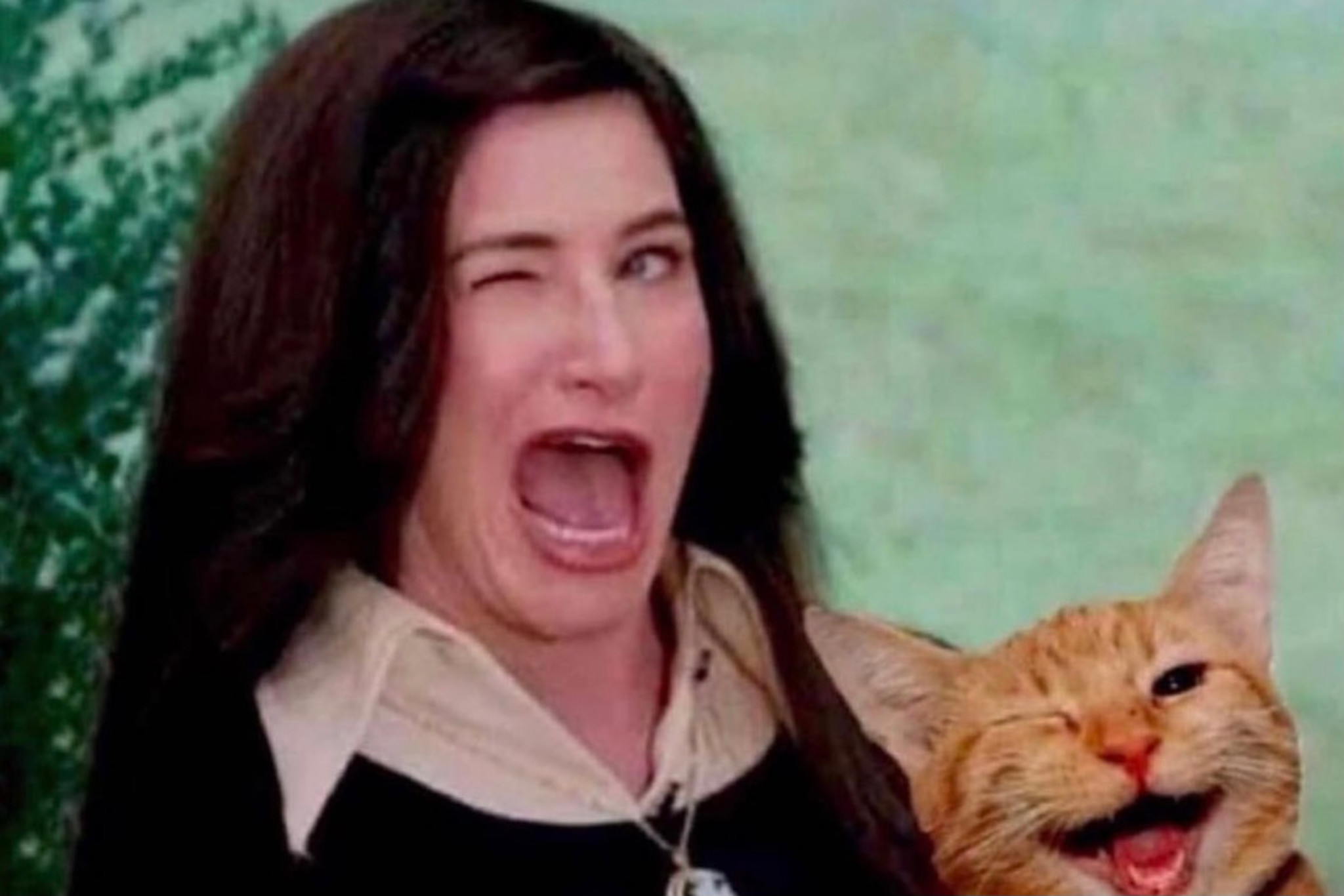 Kelly Grier : "The firm continues to perform above... | Fishbowl