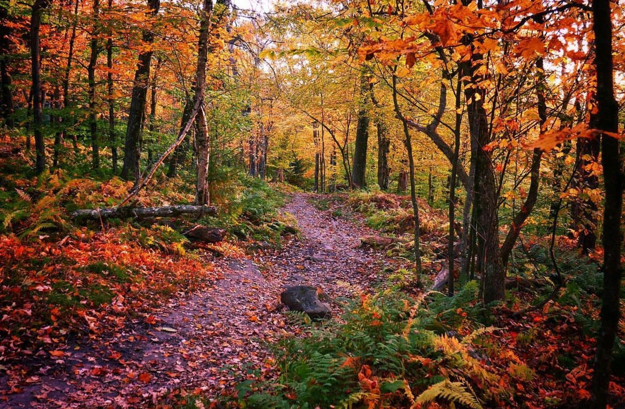 Fall is in full swing! What are you doing to make ... | Fishbowl