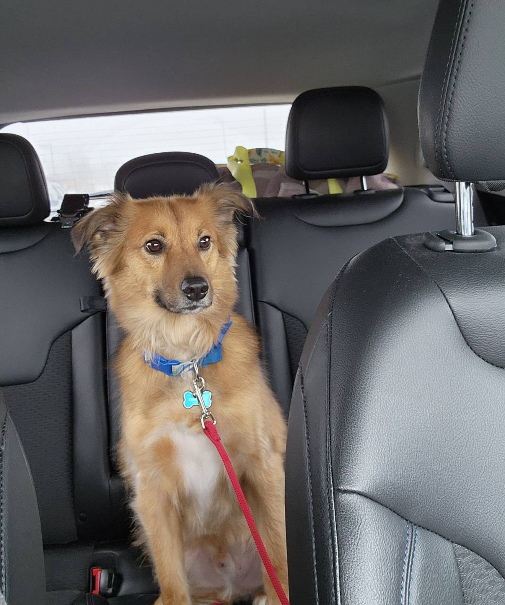 Duncan's favorite activity is hitting up starbucks... | Fishbowl