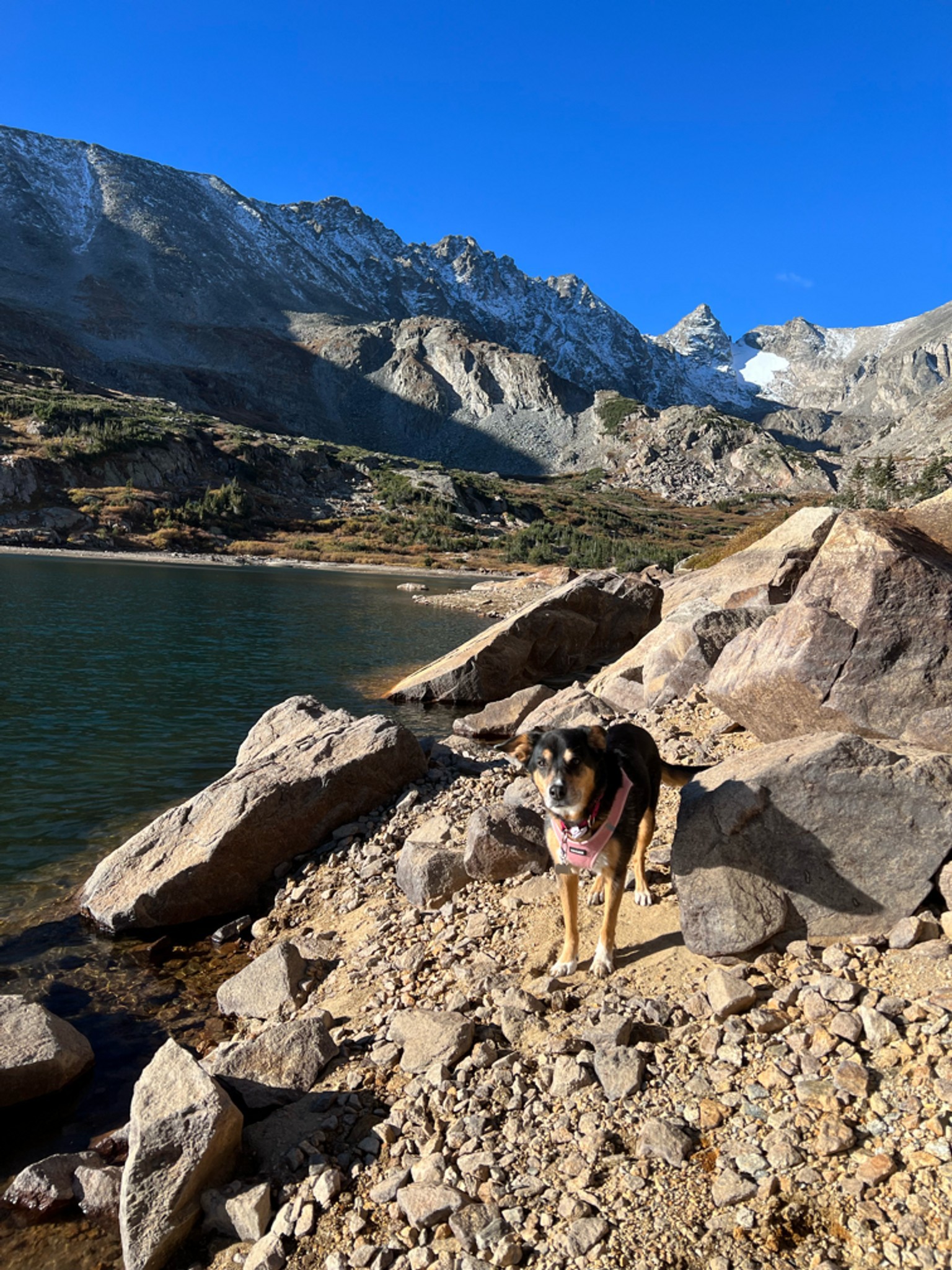 Happy Friday you all. It’s going to be a beautiful... | Fishbowl