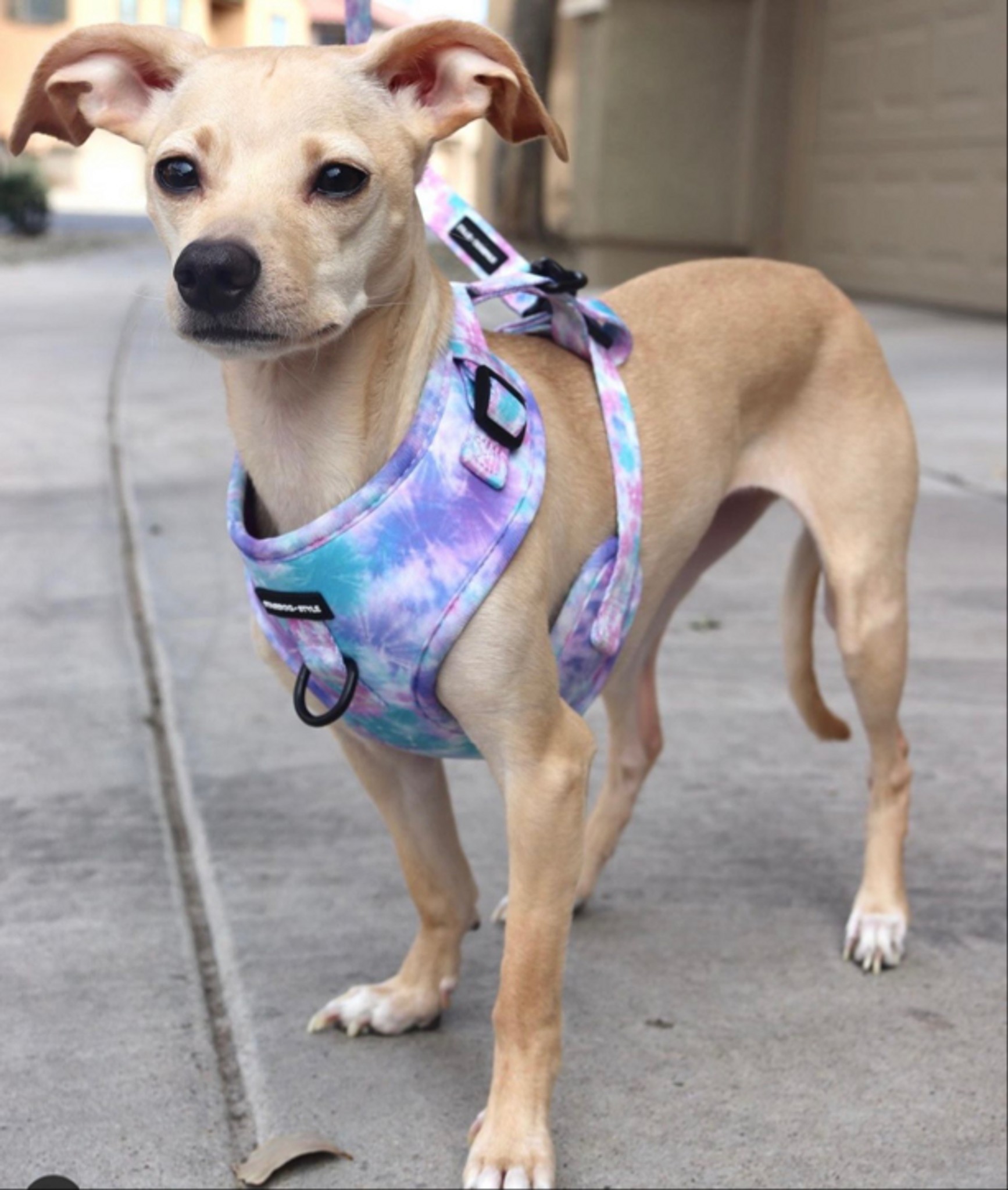 Have you ever just been like what am I really doing when I am tying out ...