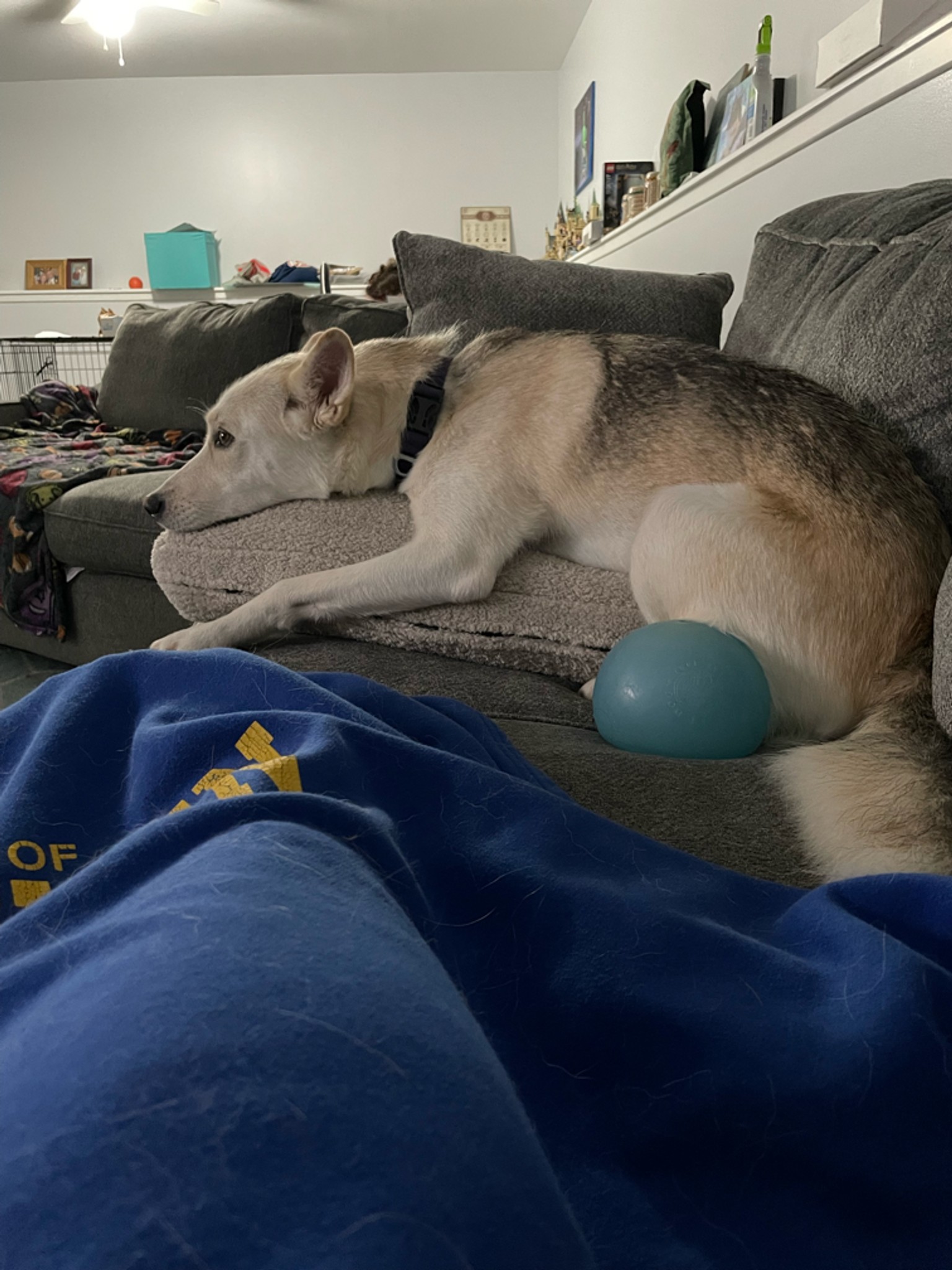 Hello all What is the difference between Status: Your application is ...