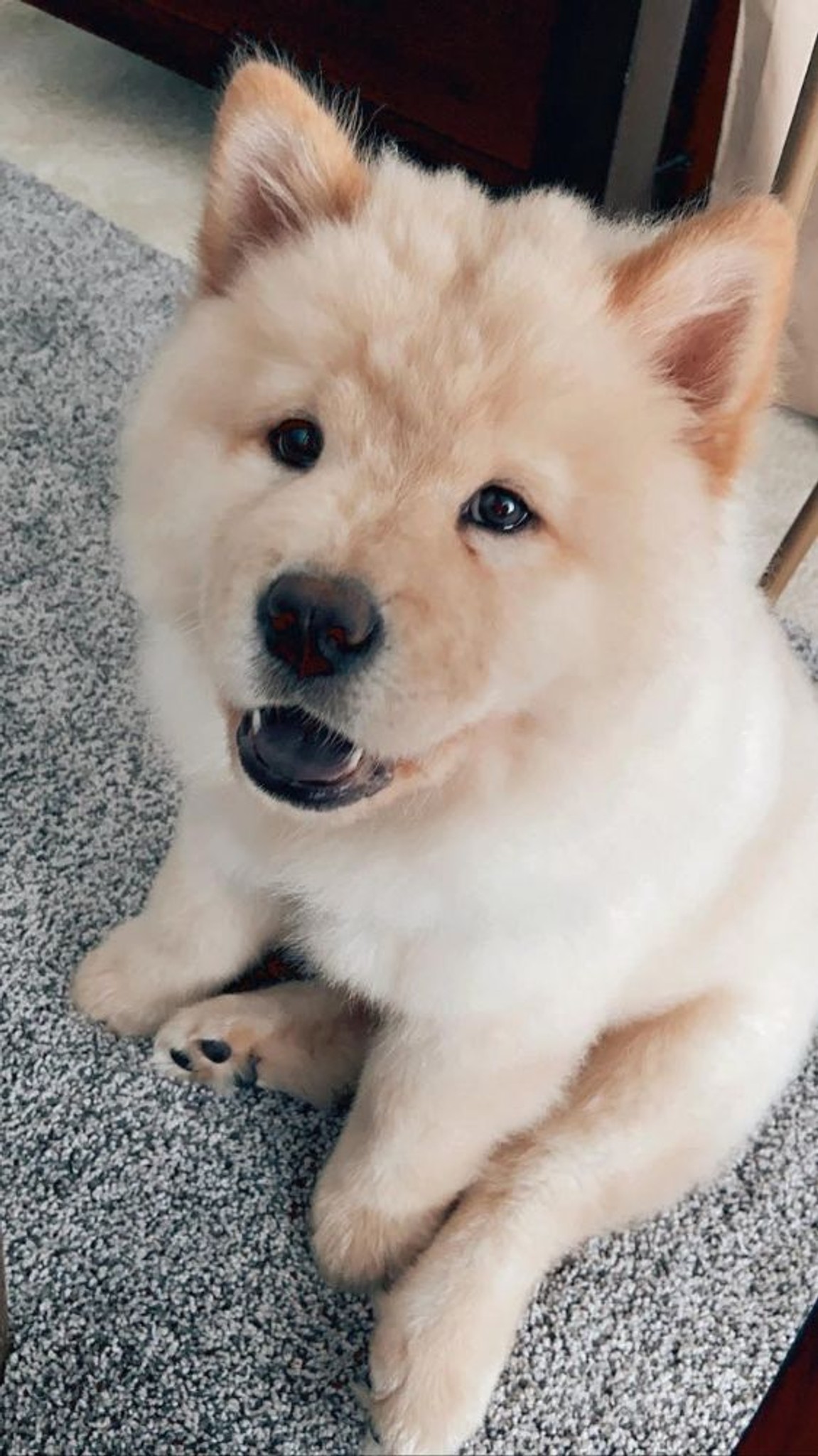 Hi peps... Please like my post to enable dm option.. I'm seriously ...