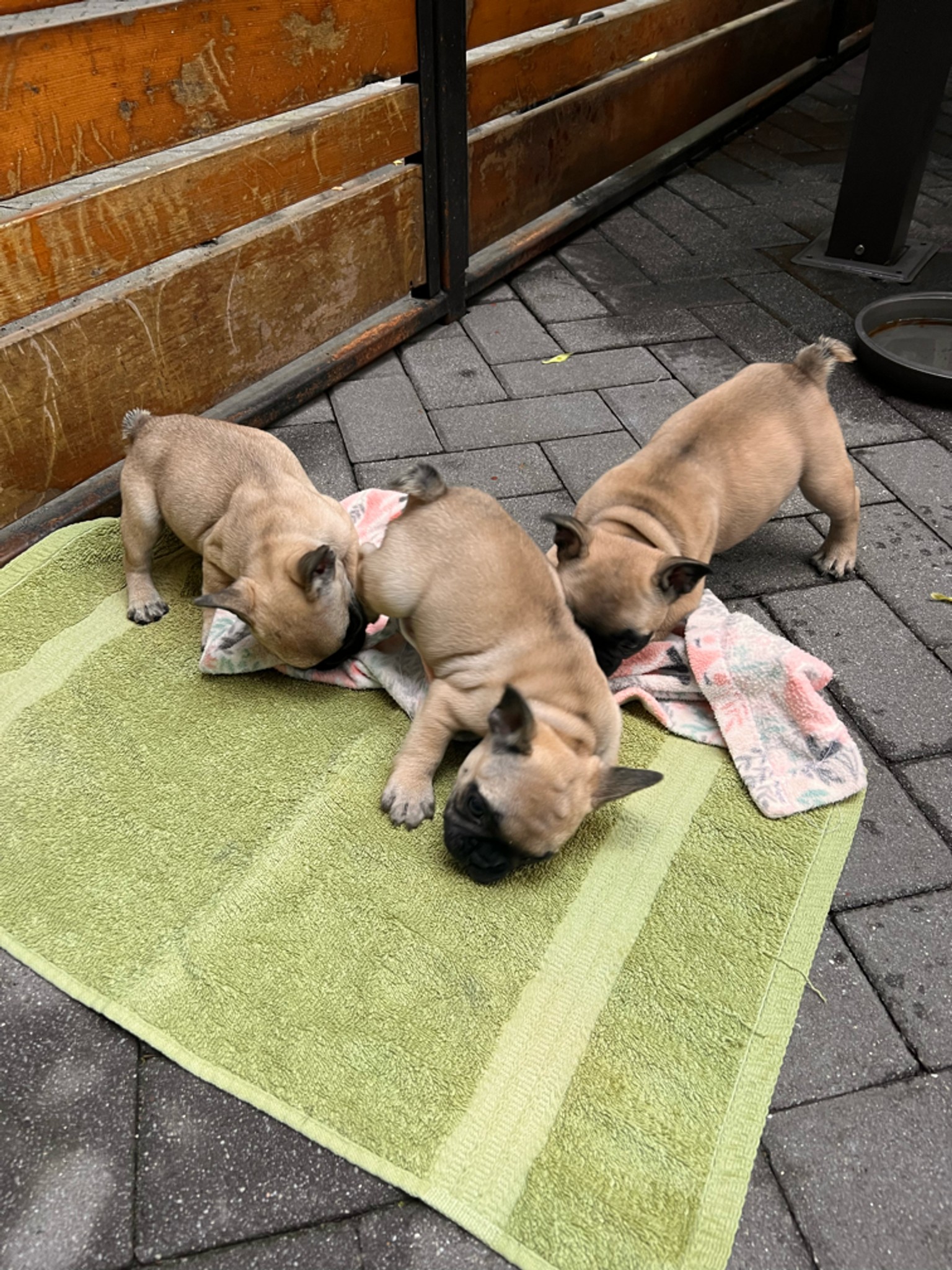 How do I alleviate knee pain in my back knee while doing lunges? Woke ...