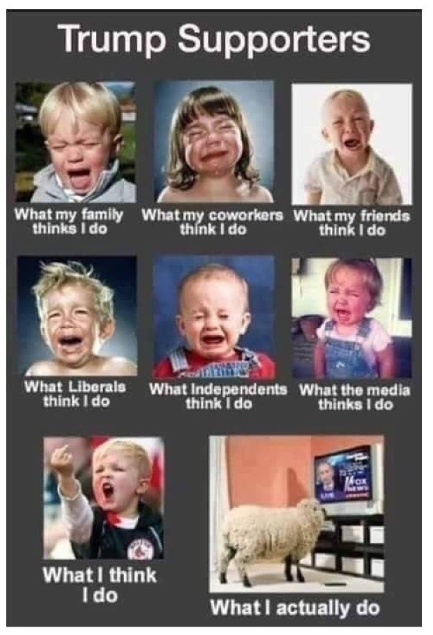 So many new accounts here parroting MAGA memes, ta... | Fishbowl