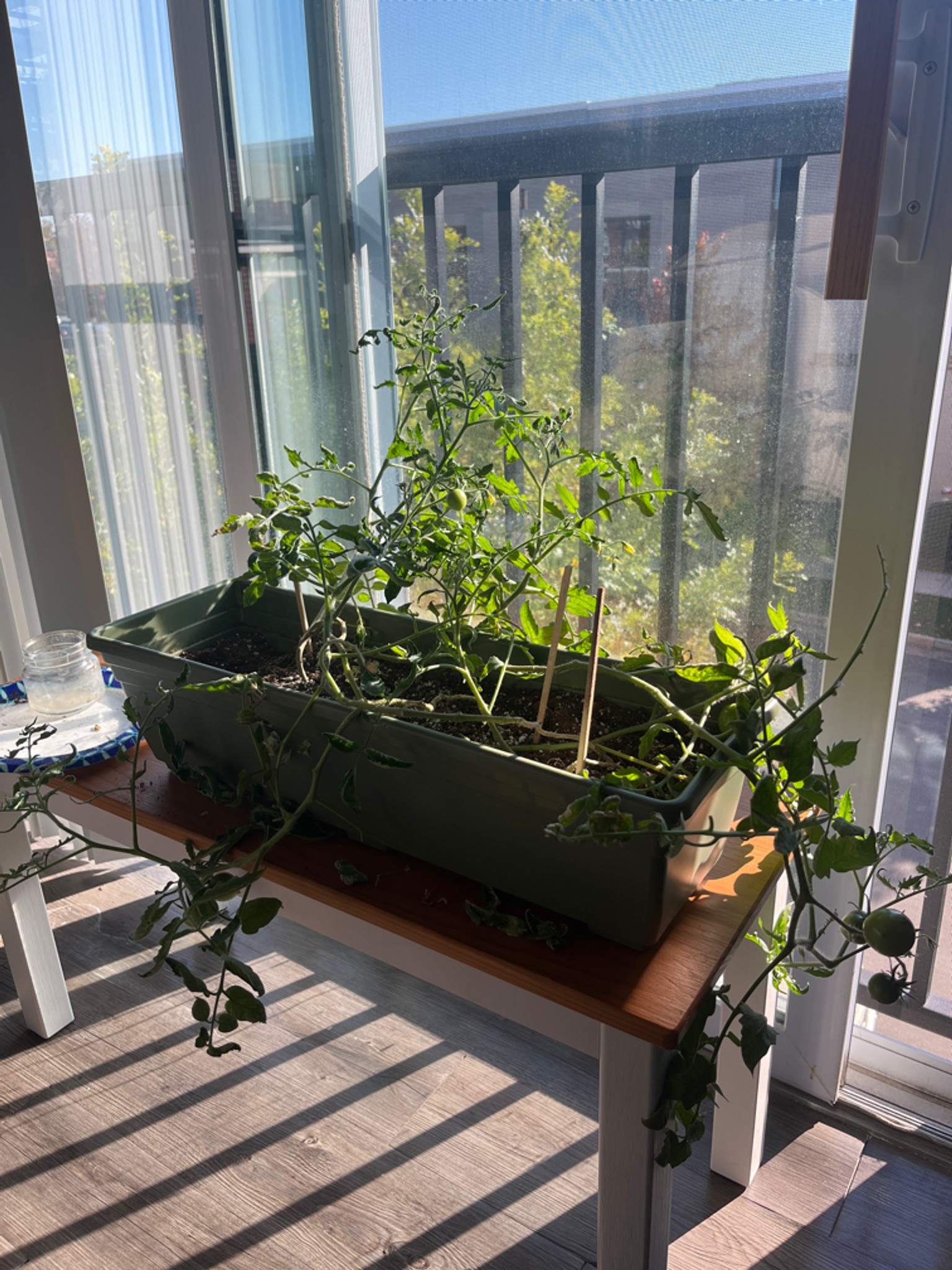 How many sick leaves , CL and flexi leave are allowed to take during ...