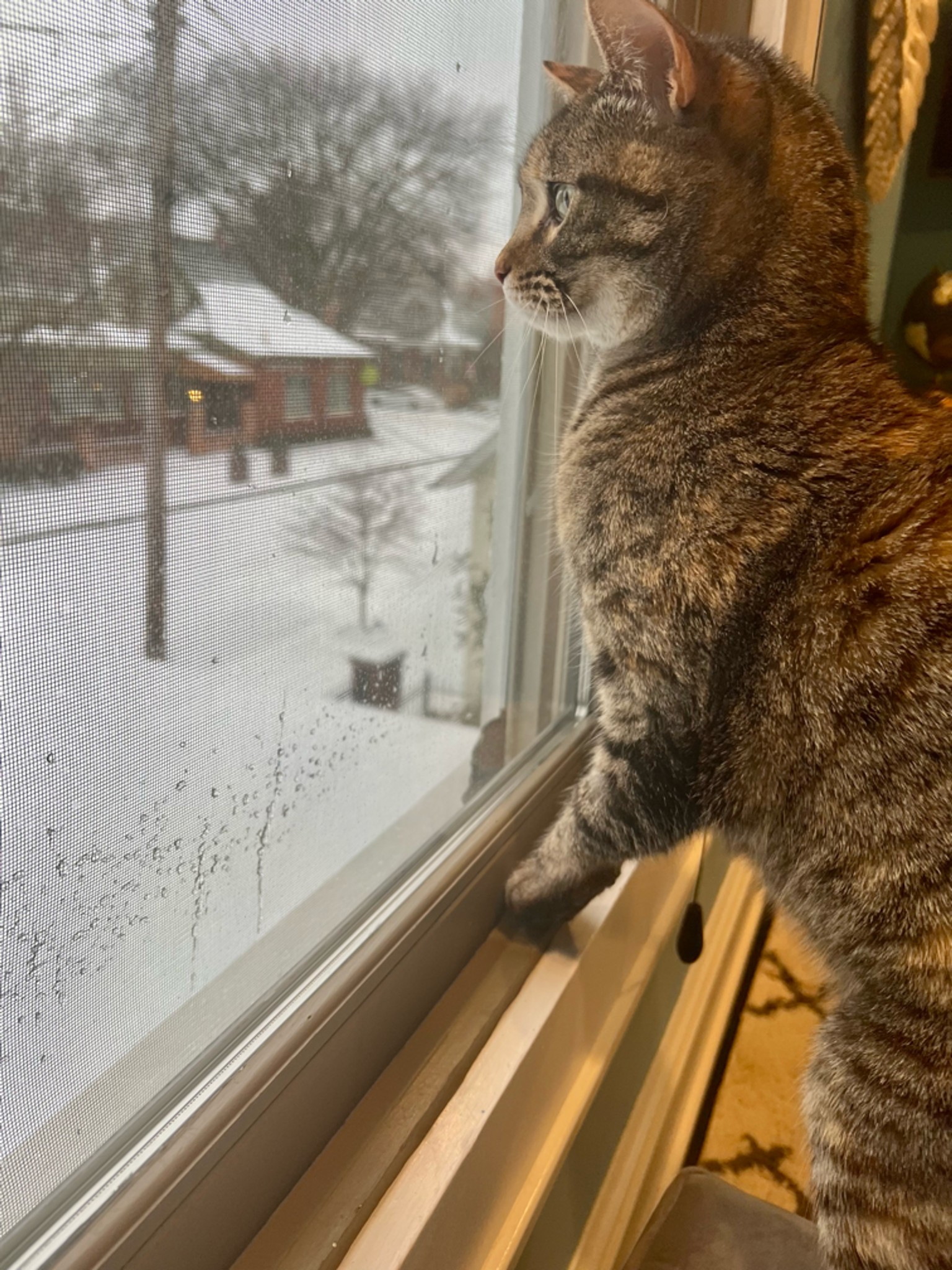 A company X hasnt sent me the revised offer letter yet as the offer ...