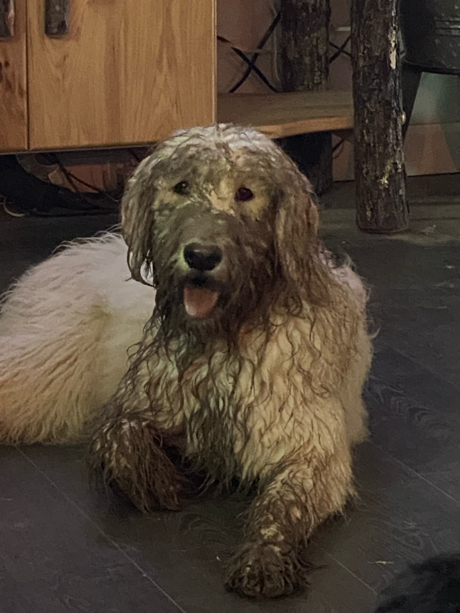 When digging for gold it’s important that you reme... | Fishbowl