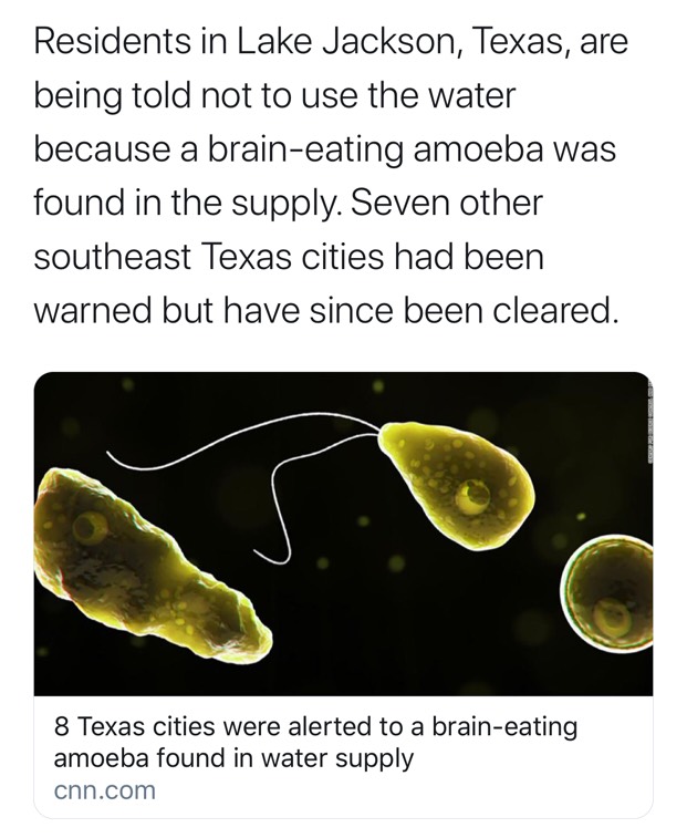 Never imagined we had a brain eating amoeba. 2020 ... | Fishbowl