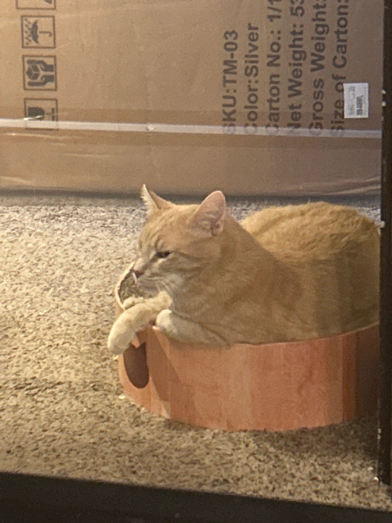 Julius, can you share the presidential brain cell ... | Fishbowl