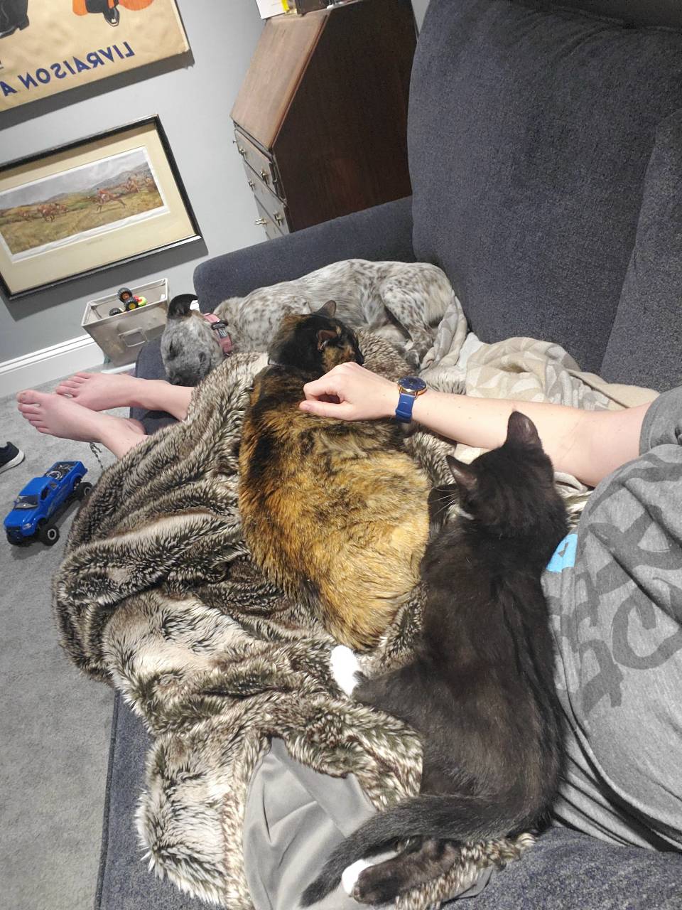 Distal fibula fracture ORIF on 6/27. Is heel raises in standing, toe ...