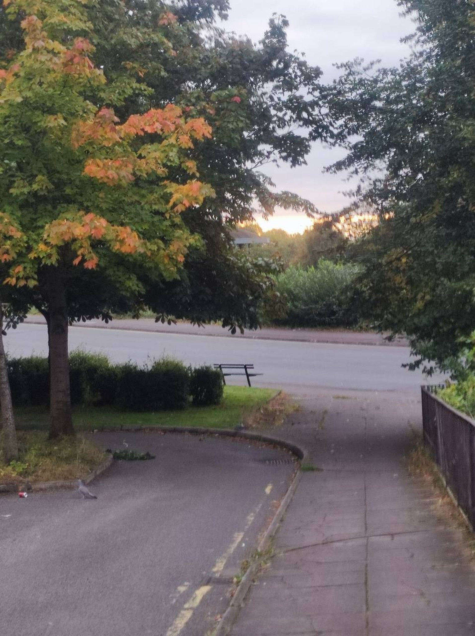 Please like my post so I can unlock the DM feature... | Fishbowl