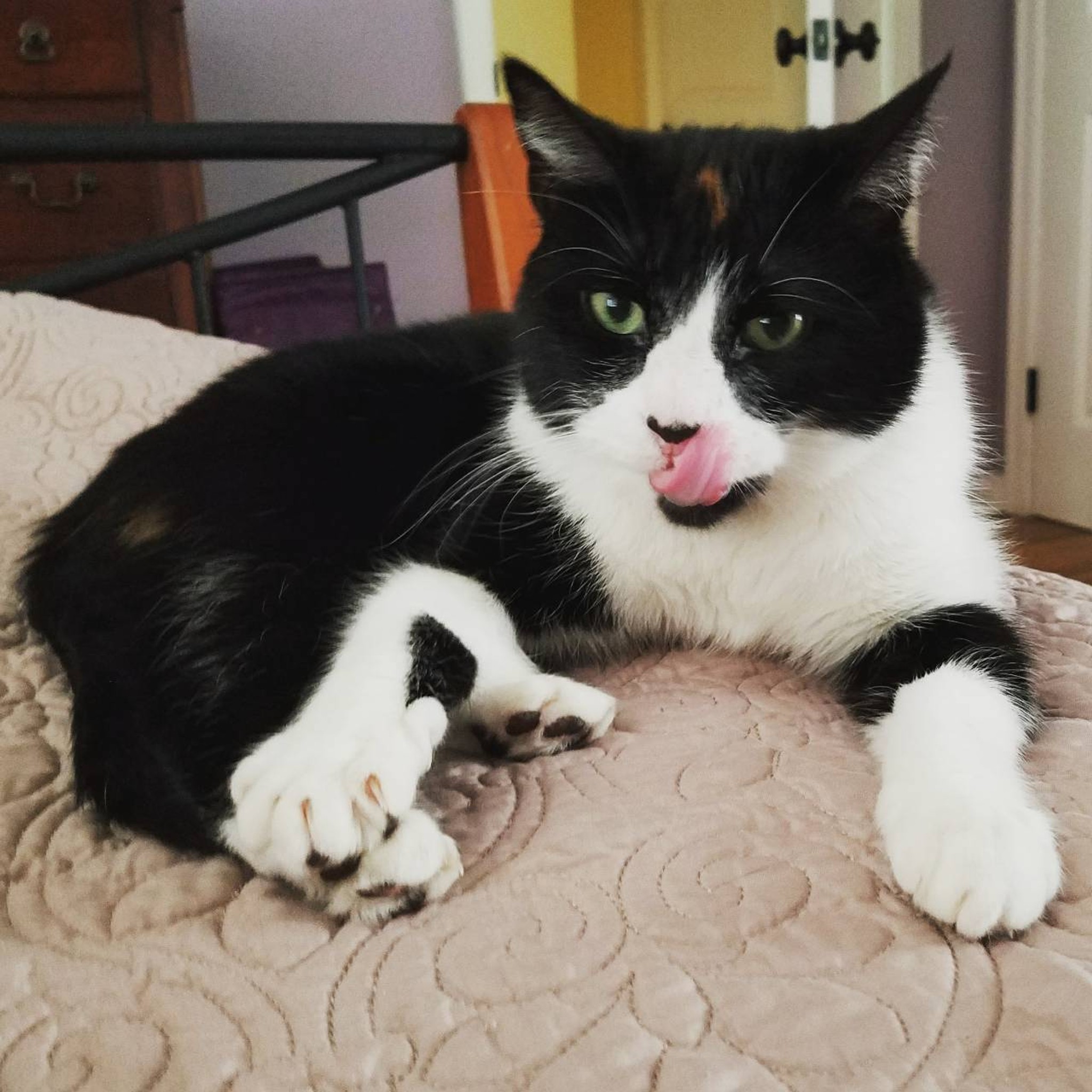 Have you ever seen something you shouldn’t during a work video call ...