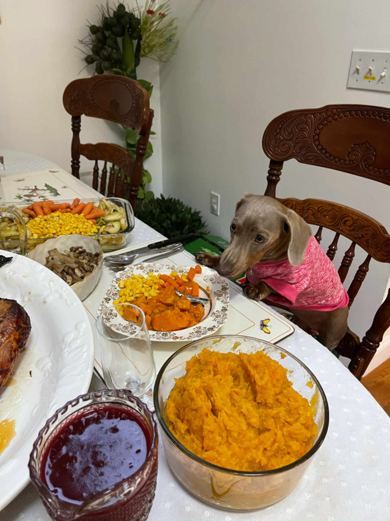 Happy Gratitude day... This pup is grateful for al... | Fishbowl