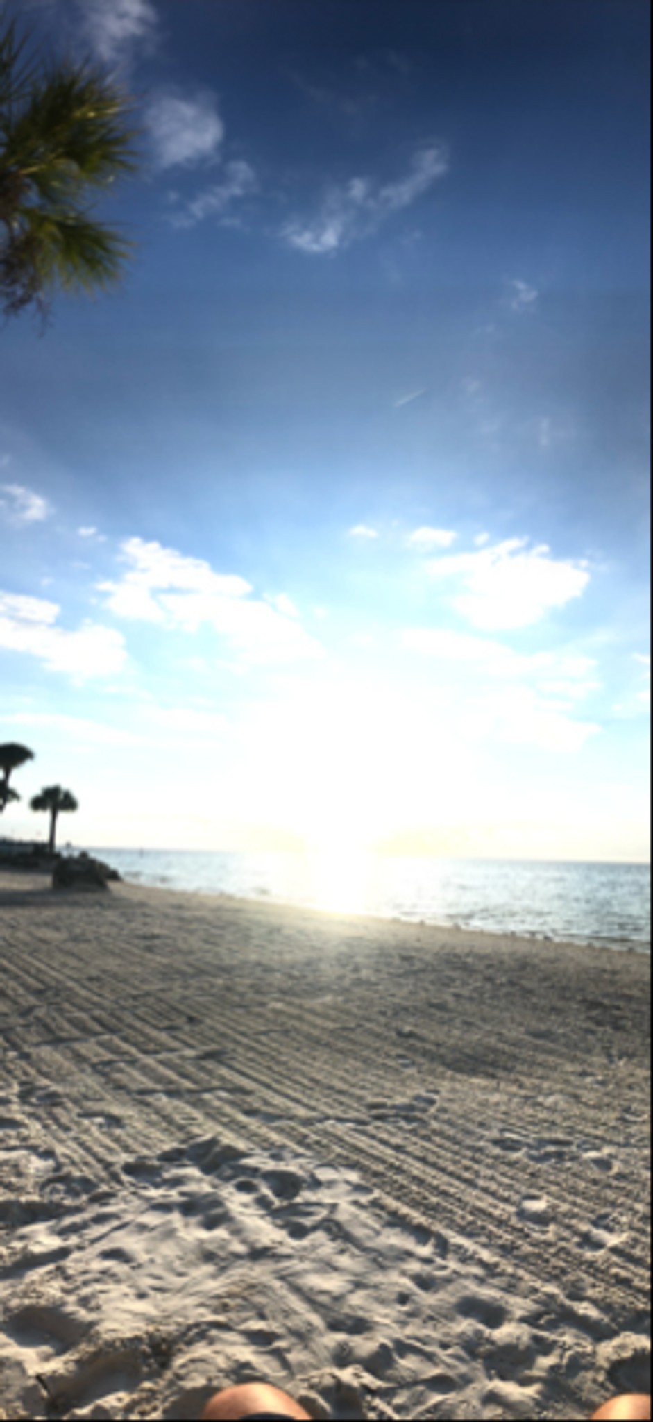 Can WFH be at a beach please? lol looking for help... | Fishbowl