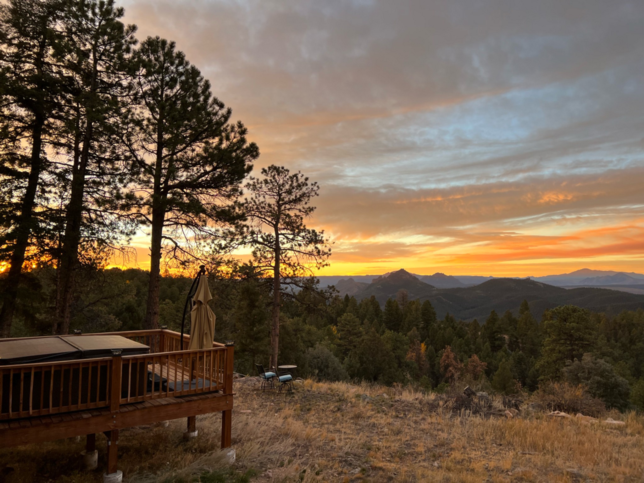 Happy Friday you all. It’s going to be a beautiful... | Fishbowl