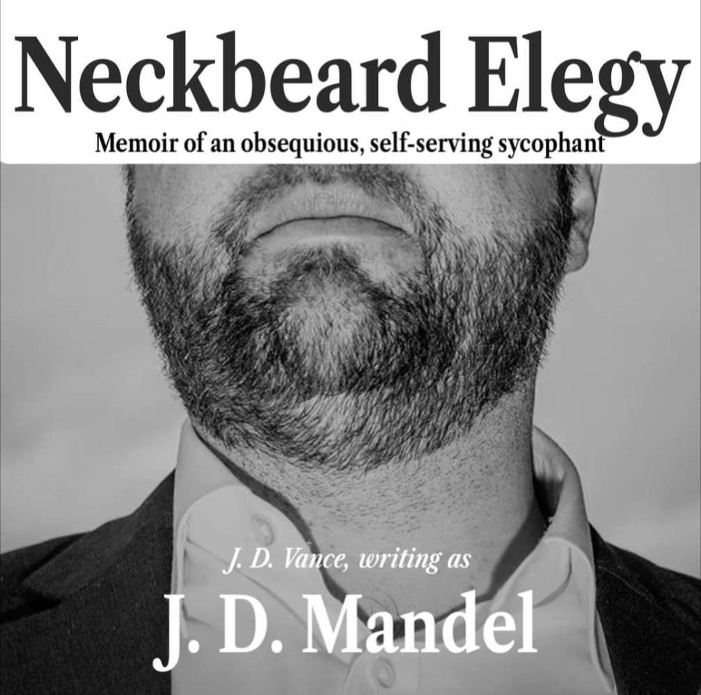 Check out the new memoir by VP nominee JD Mandel | Fishbowl