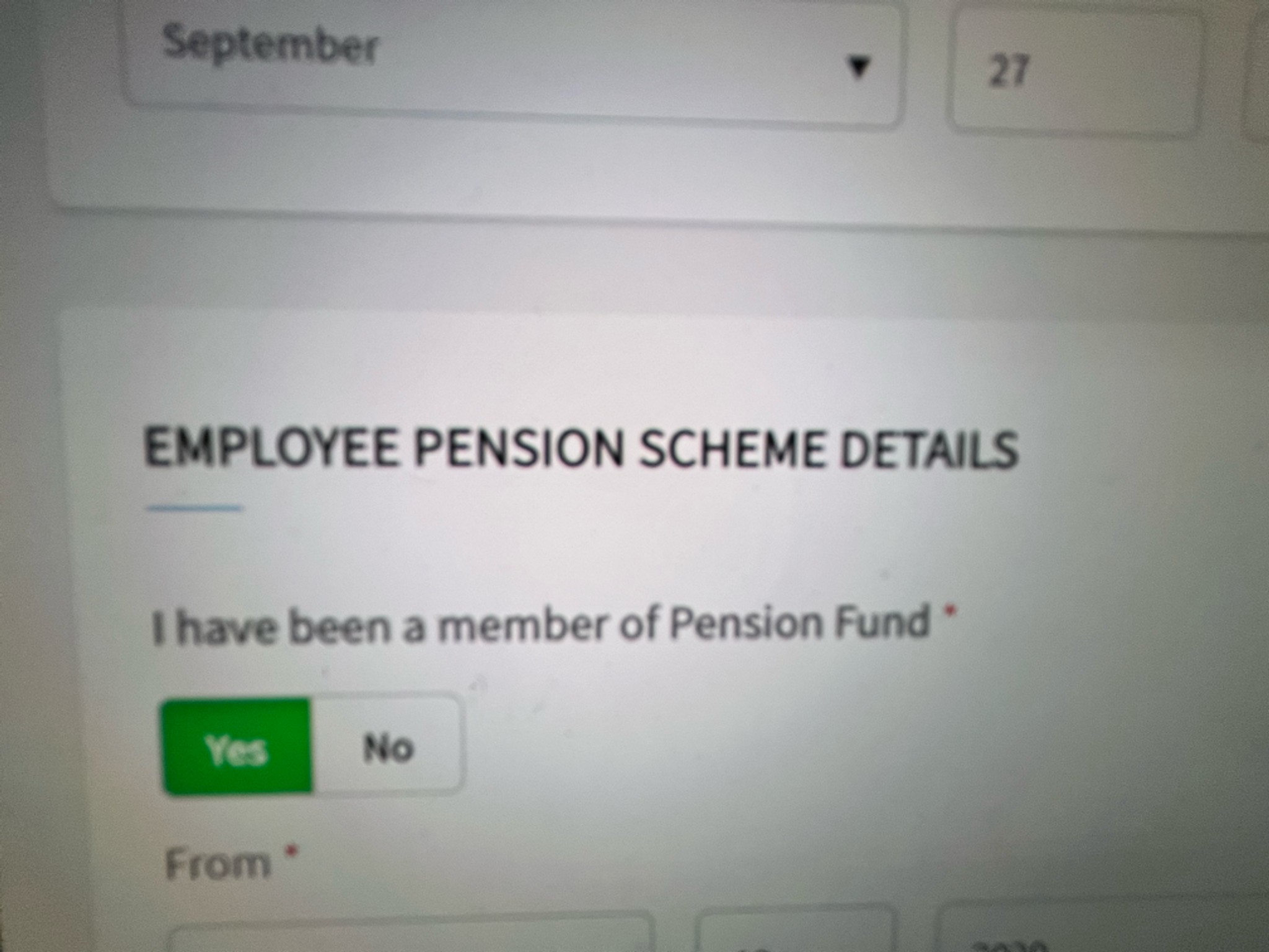 Hi fishes, In Form 9 what is the employee pension scheme details. My ...