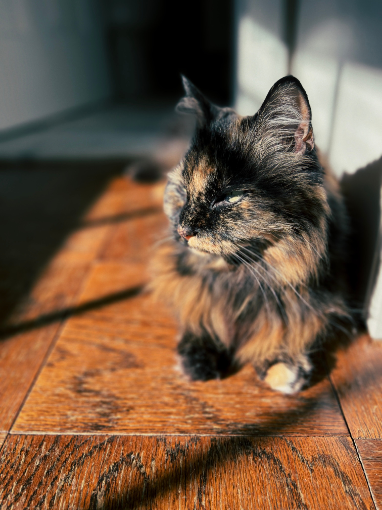 What is the promotion hierarchy in TCS? Can someone explain with years ...