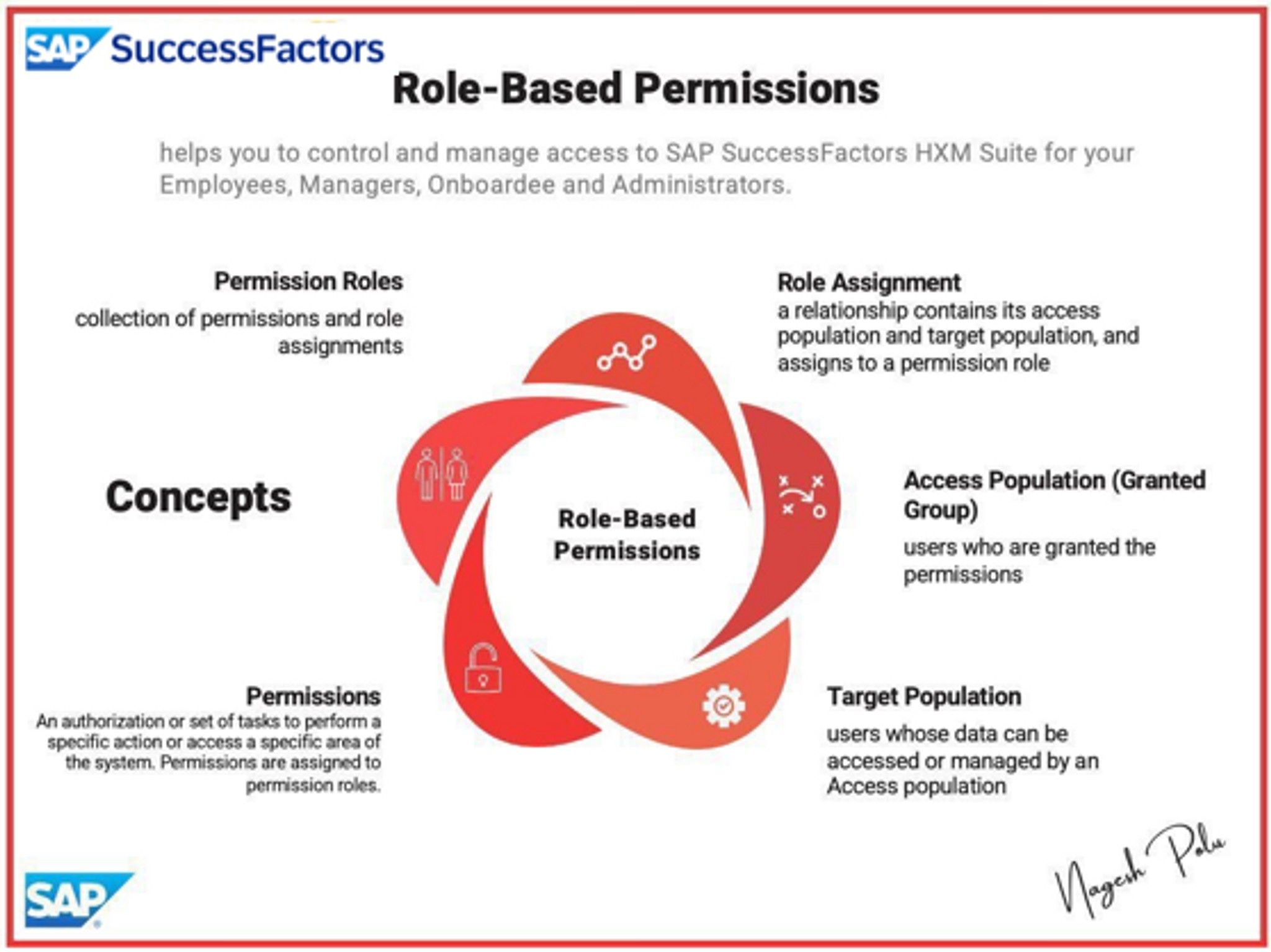 Role Based Permissions in SAP SuccessFactors ... | Fishbowl