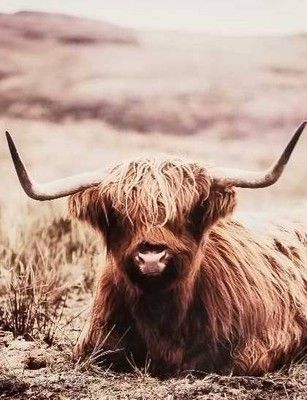 One step closer to a TikTok ban… do we think it will actually happen ...