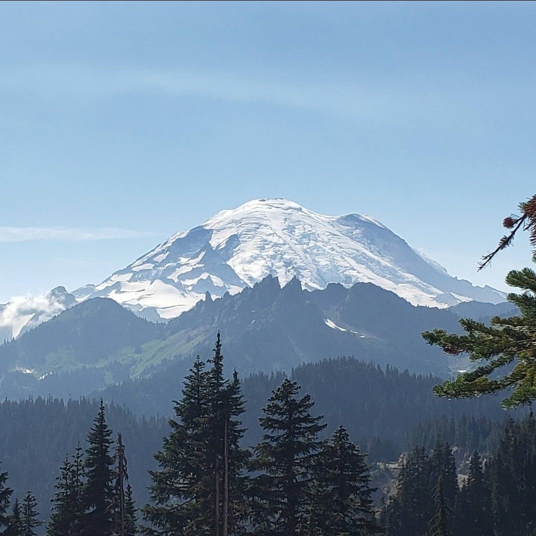 Hello all, I will learn coding and am reaching out to see what specific ...